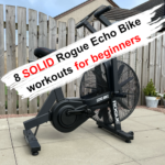 8 SOLID Rogue Echo bike workouts for beginners - Peck me out
